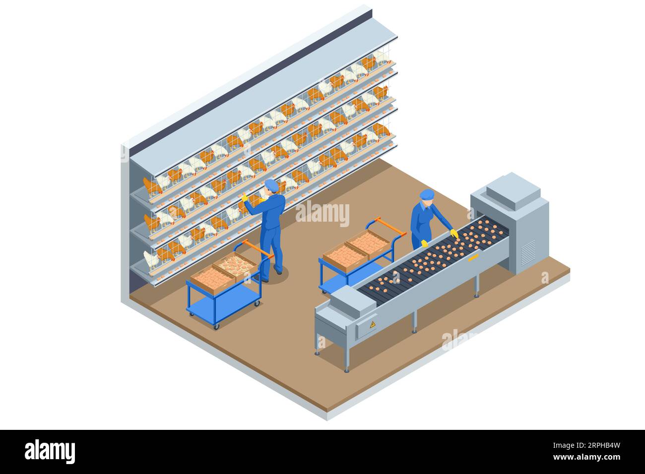 Isometric Indoors Chicken Farm, Chicken Feeding. Chicken Hens Eggs in ...
