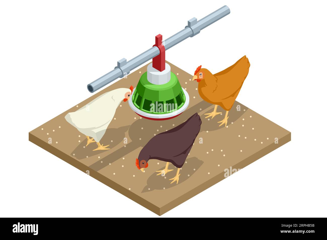 Isometric Indoors Chicken Farm, Chicken Feeding. Poultry Farm Web ...
