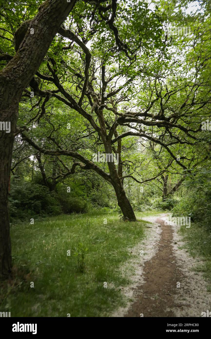 Kelley point park hi-res stock photography and images - Alamy