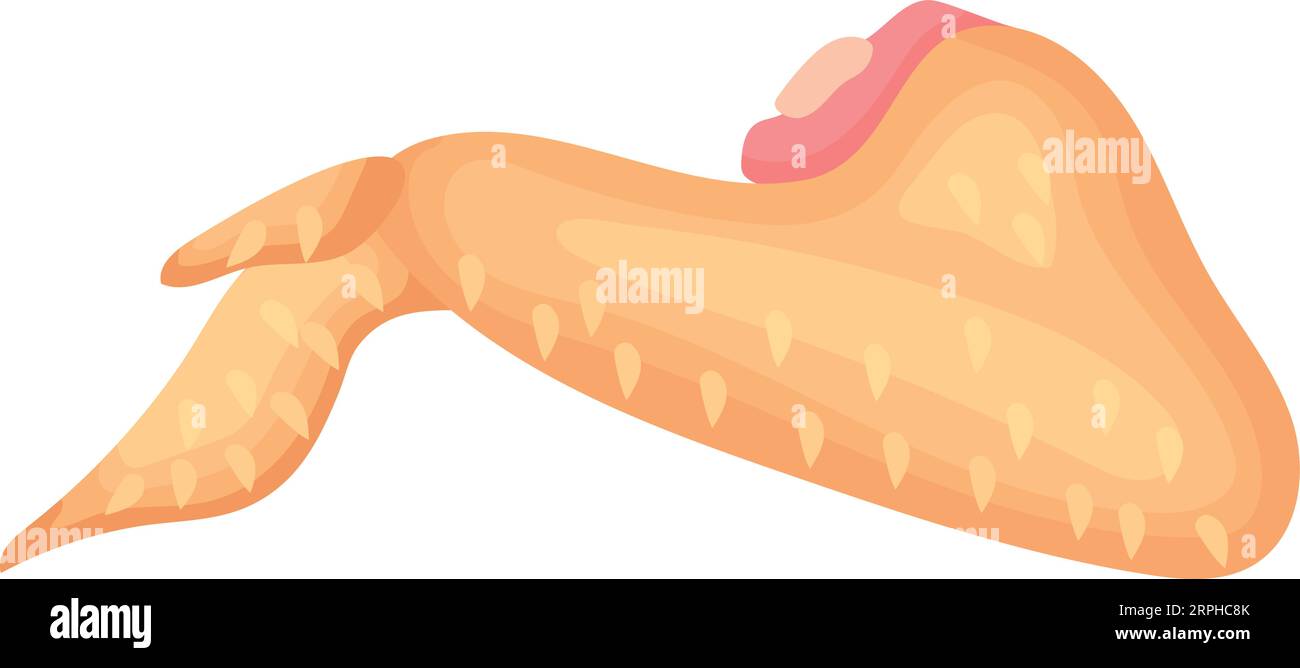 Raw chicken seasoning Stock Vector Images - Alamy