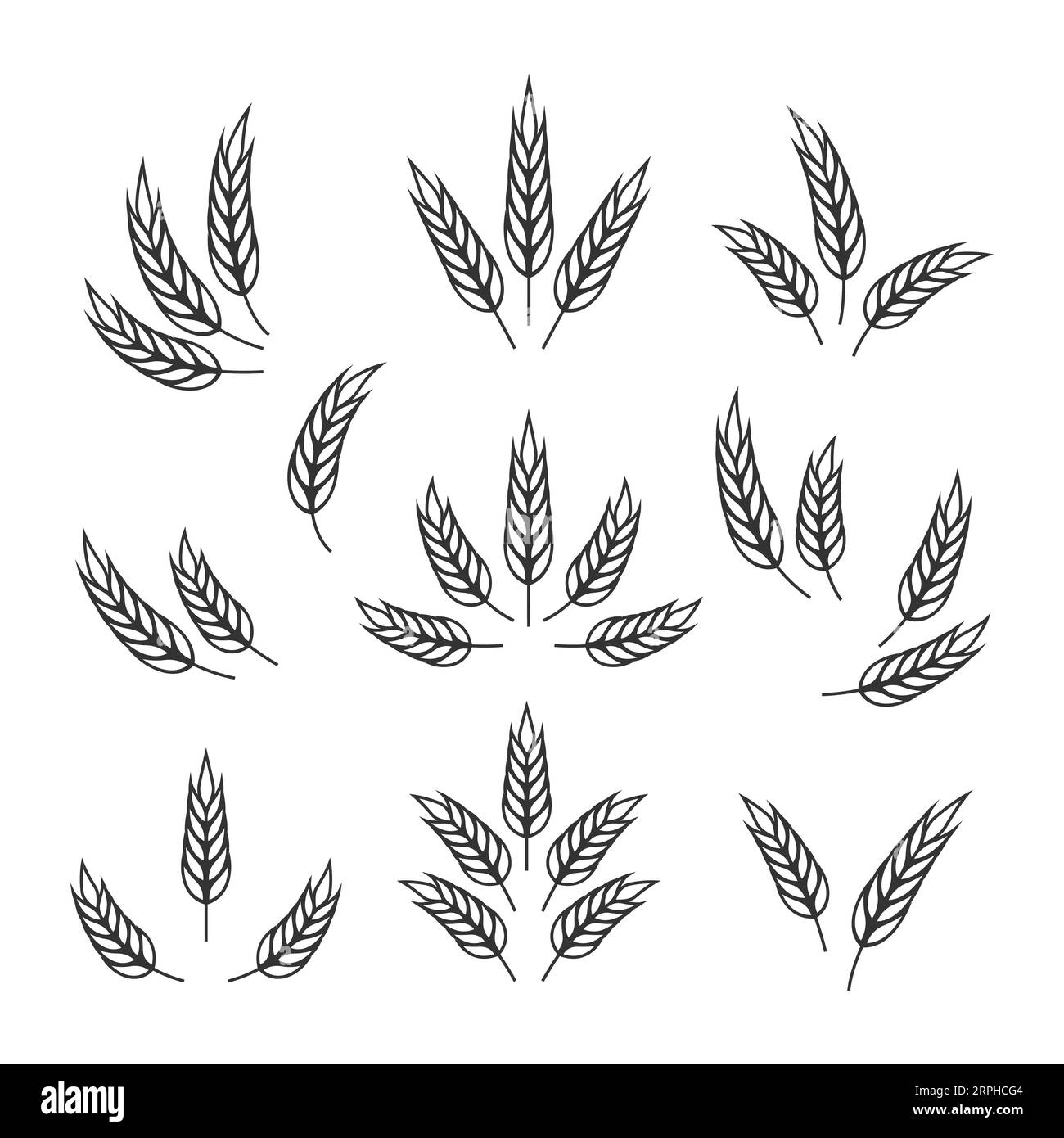 Flat Vector Agriculture Wheat Icon Set Isolated, Organic Wheat, Rice ...