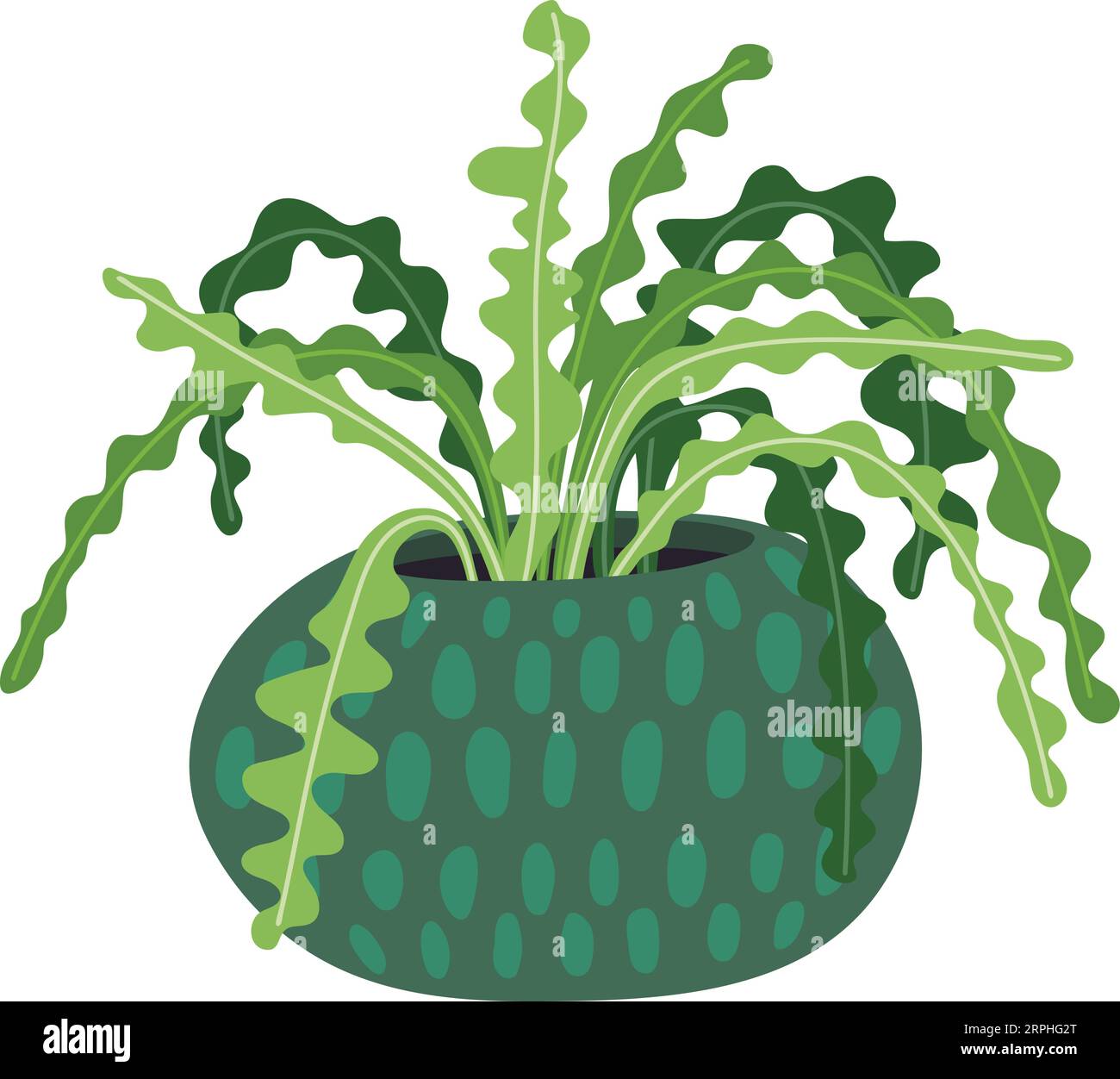 Green houseplant icon. Indoor fern plant in pot Stock Vector Image ...