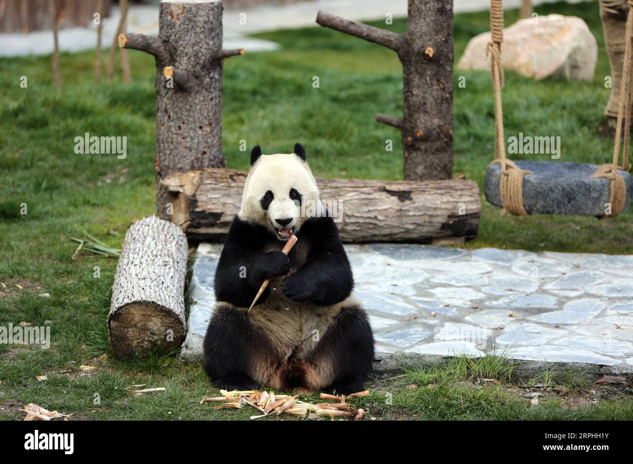 Tian hai hi-res stock photography and images - Alamy