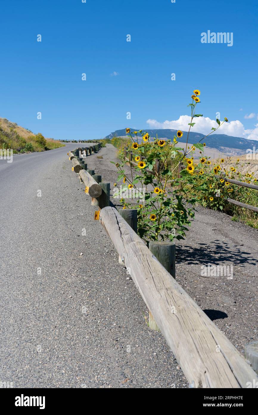 Roadside path pathway hi-res stock photography and images - Alamy