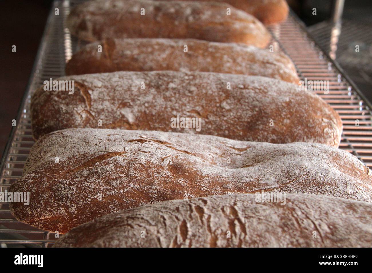 Fresh loaves of bread Stock Photo - Alamy