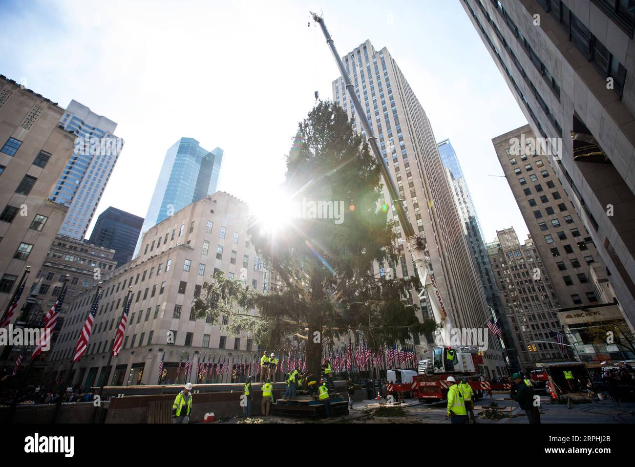 Crane lifts tree hi-res stock photography and images - Alamy