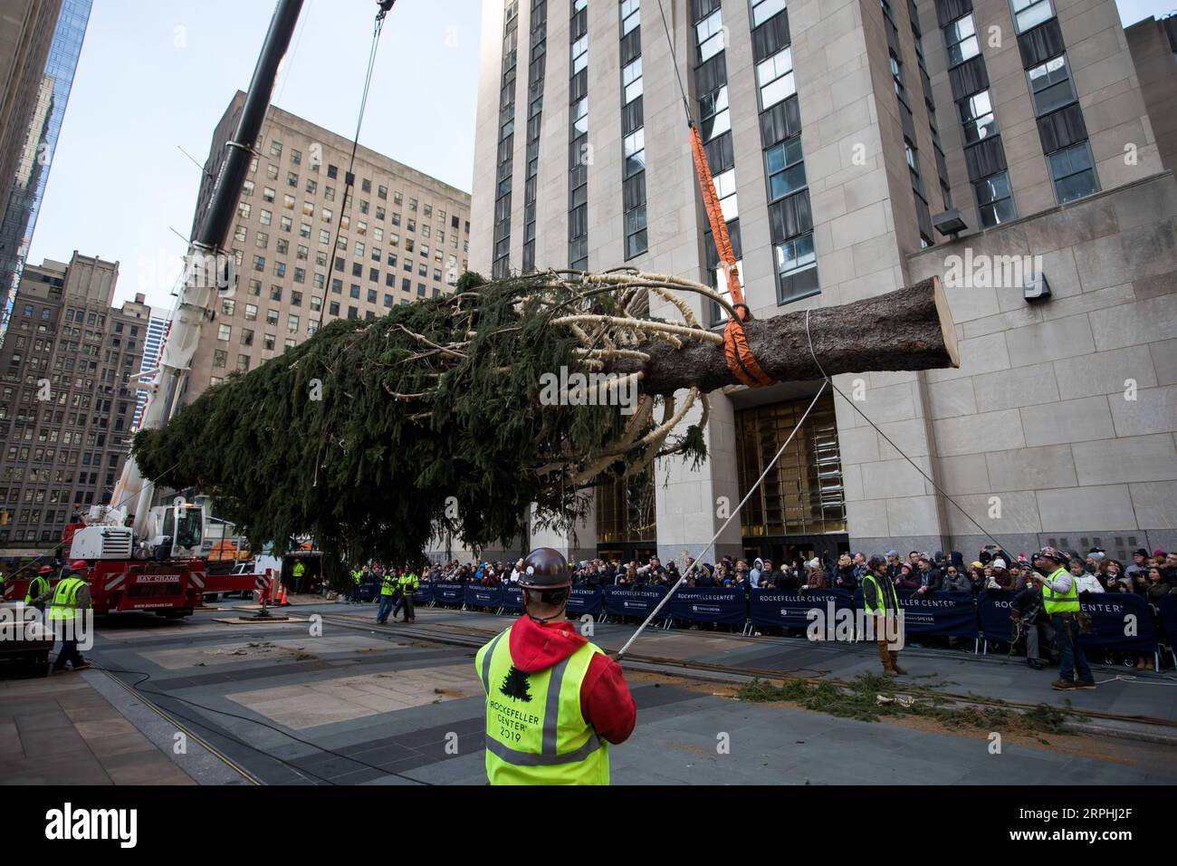 Crane lifts tree hi-res stock photography and images - Alamy