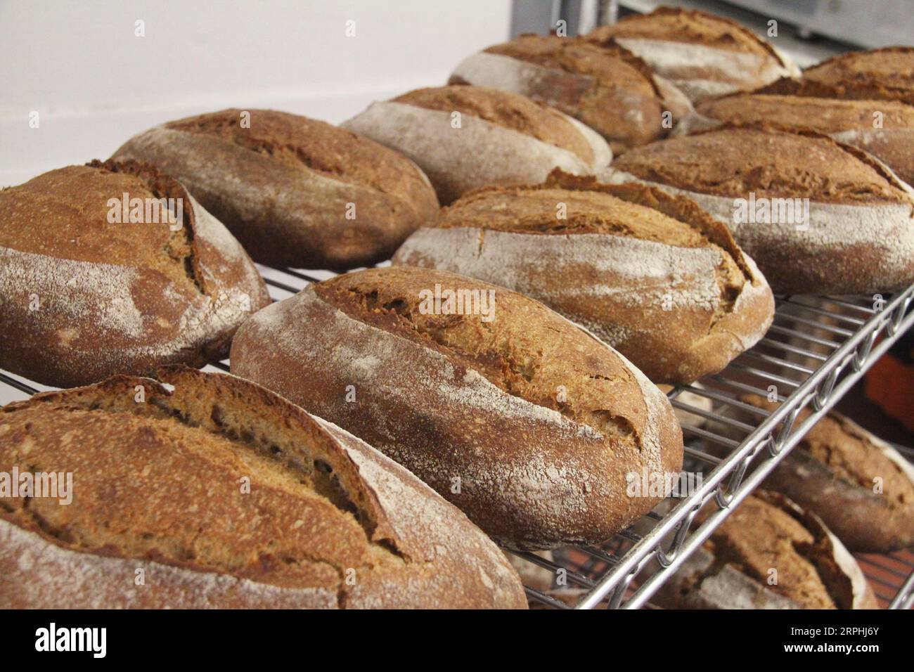 Fresh loaves of bread Stock Photo - Alamy