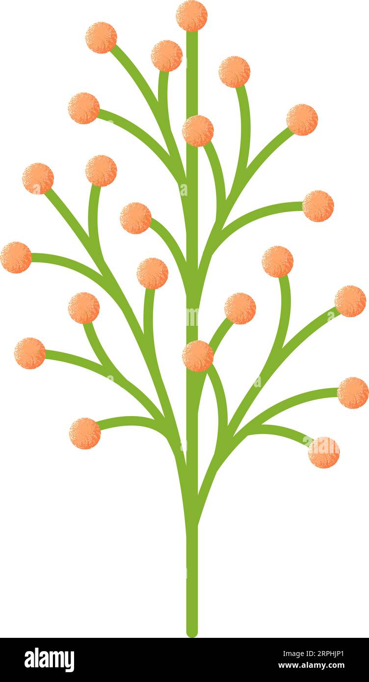 Floral branch element. Blooming plant. Botany icon Stock Vector Image ...