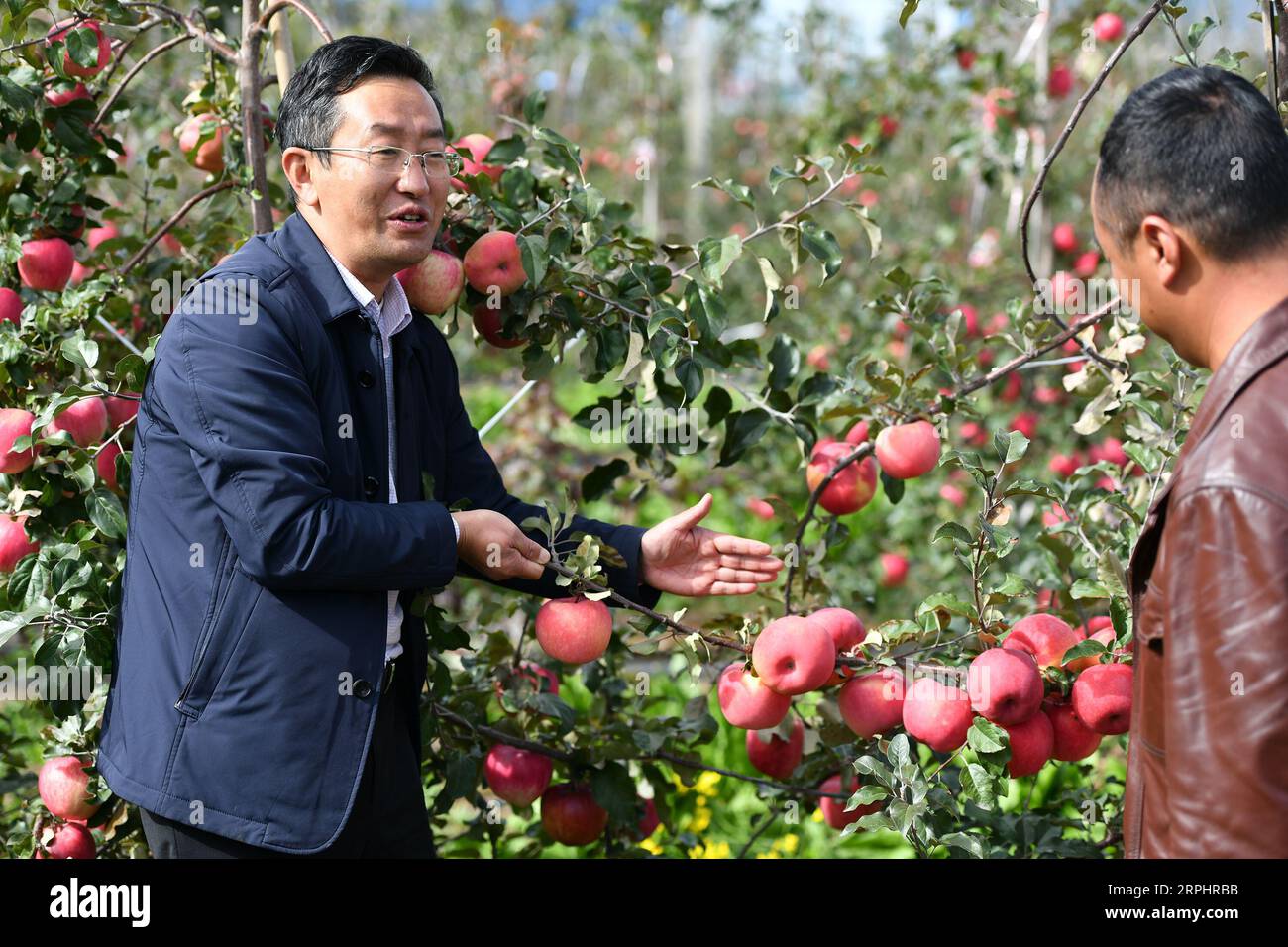 Issuesthat hi-res stock photography and images - Alamy