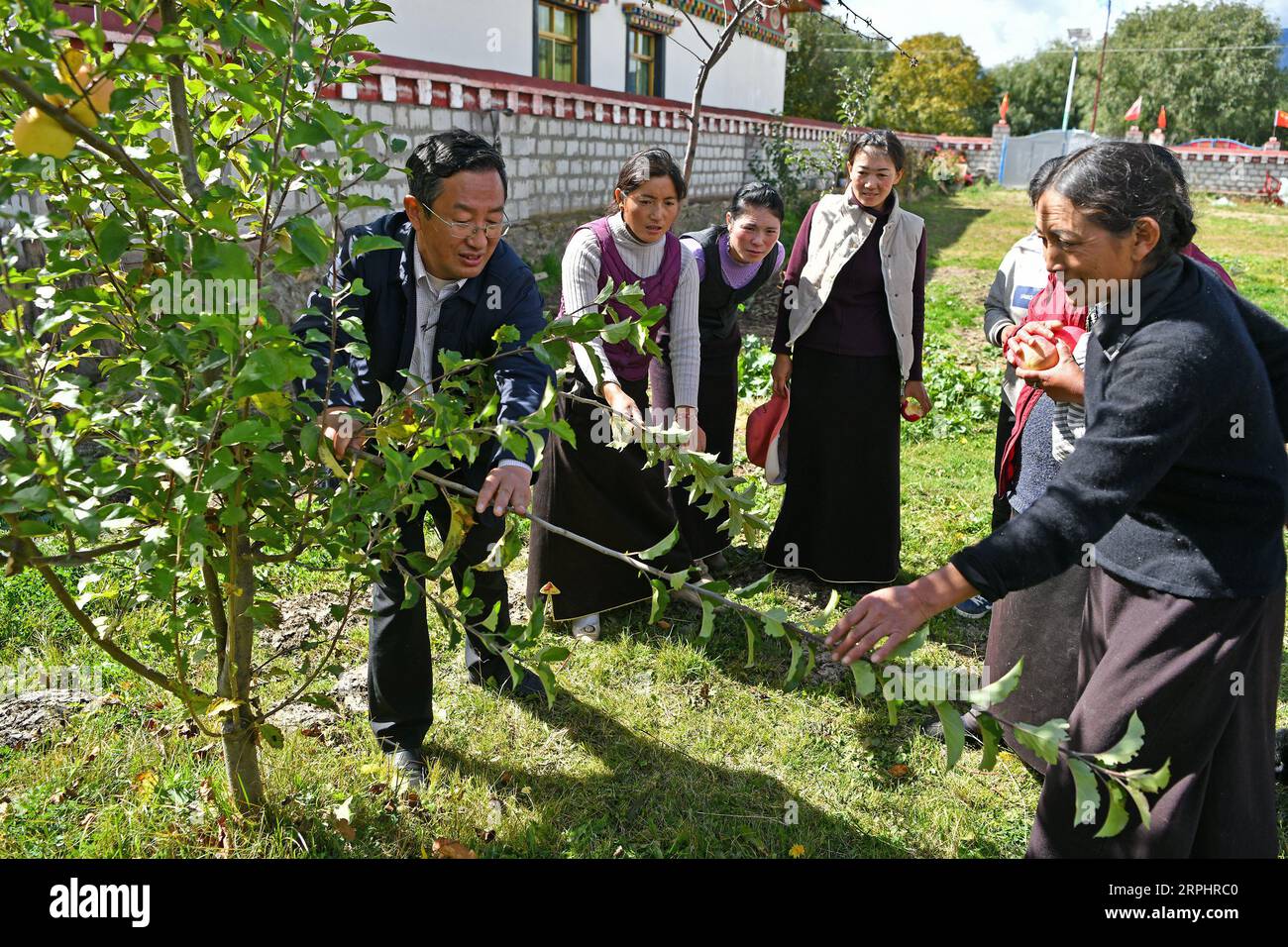 191117 -- LHASA, Nov. 17, 2019 -- Professor Xie Hongjiang 1st L ...