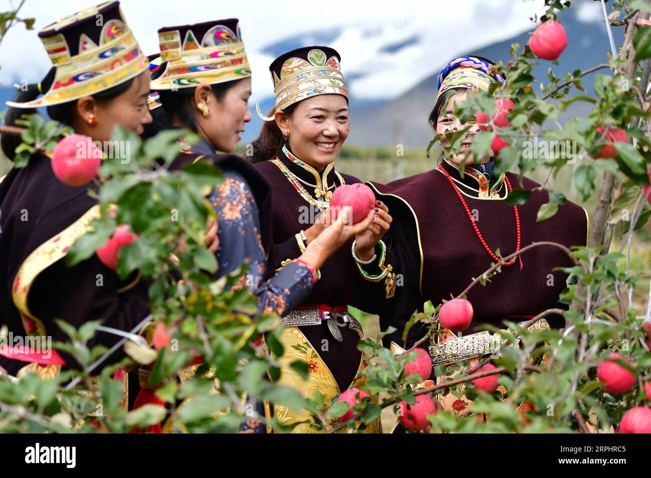 Llagers hi-res stock photography and images - Alamy