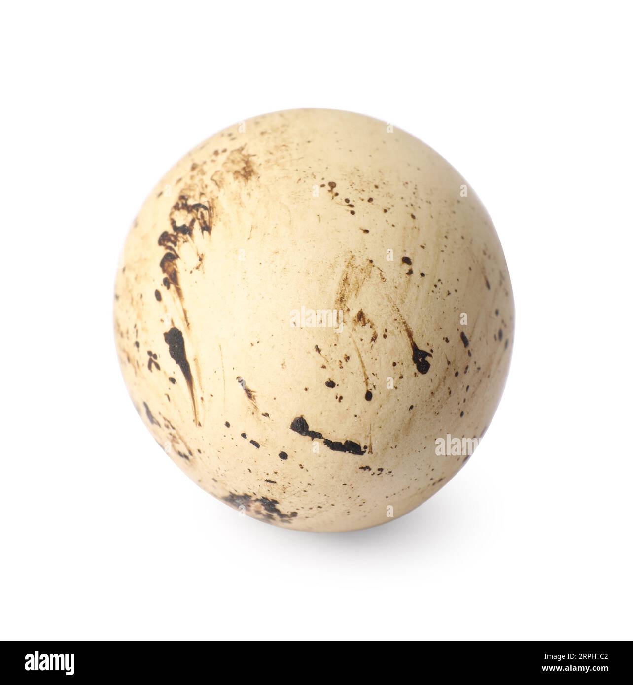 One speckled quail egg isolated on white Stock Photo - Alamy
