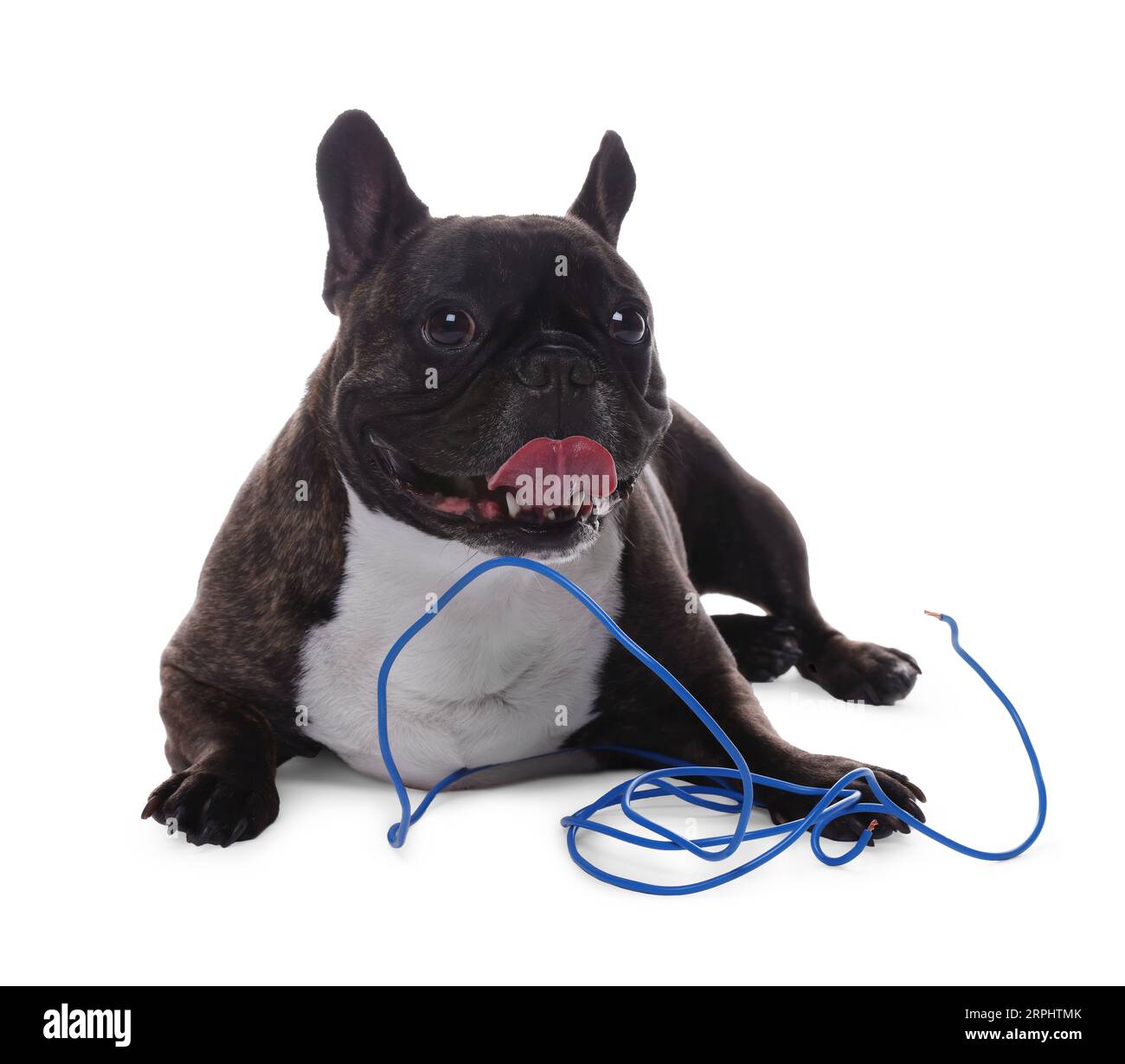 French wiring Cut Out Stock Images & Pictures - Alamy