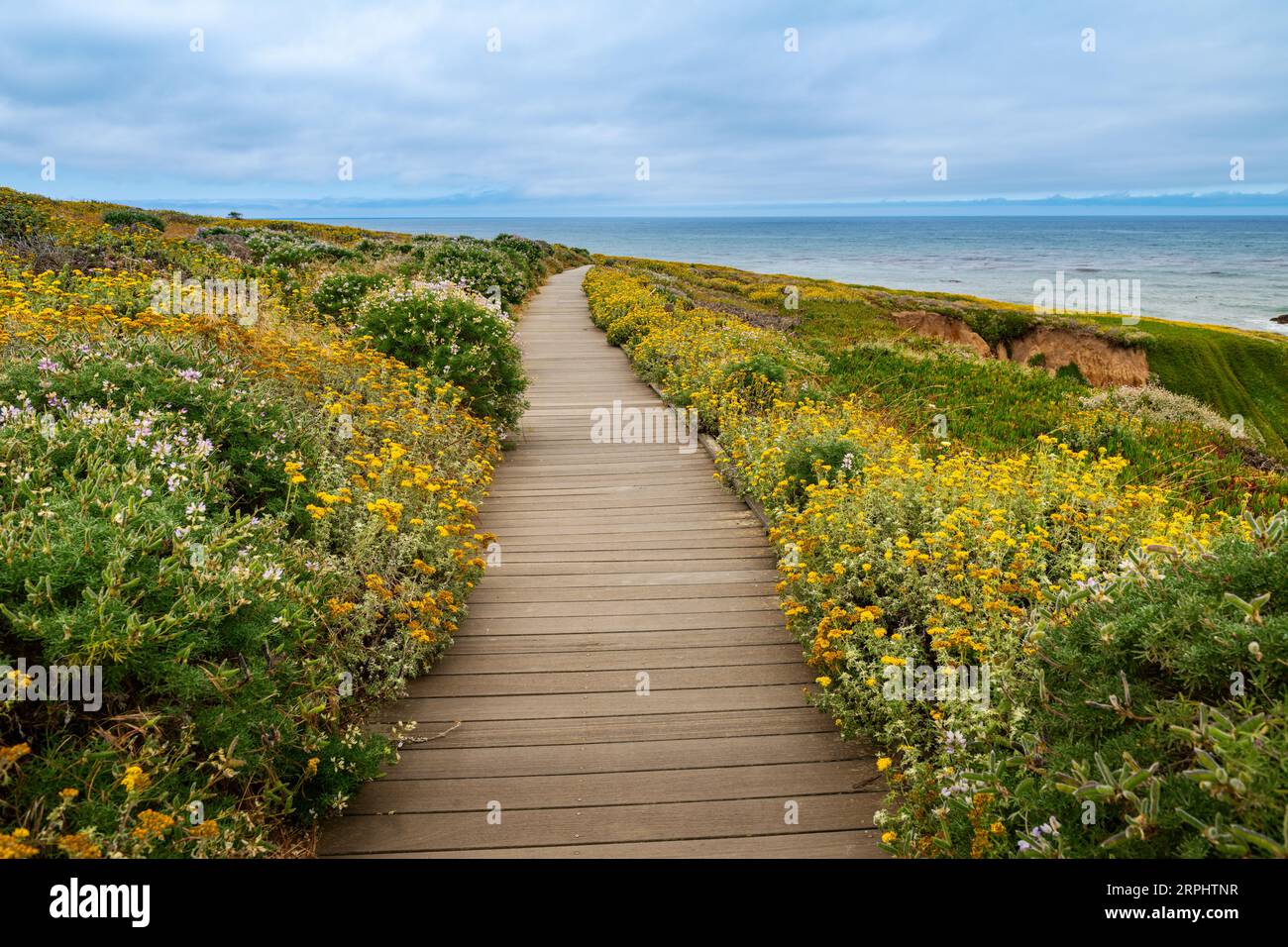 The Coastal views of Fiscalini Ranch Preserve in Cambria Stock Photo ...