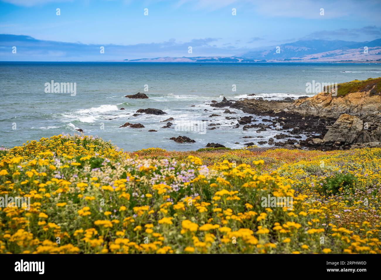 The Coastal views of Fiscalini Ranch Preserve in Cambria Stock Photo ...