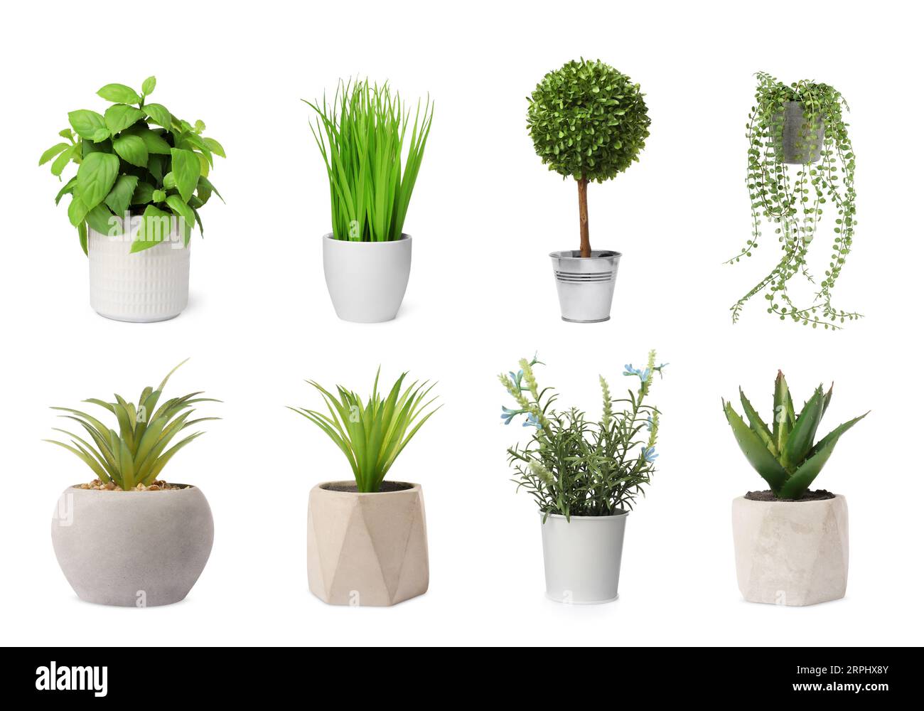 Set of artificial plants in flower pots isolated on white Stock Photo ...
