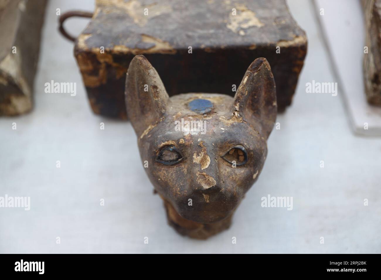 Saqqara necropolis animals hi-res stock photography and images - Alamy