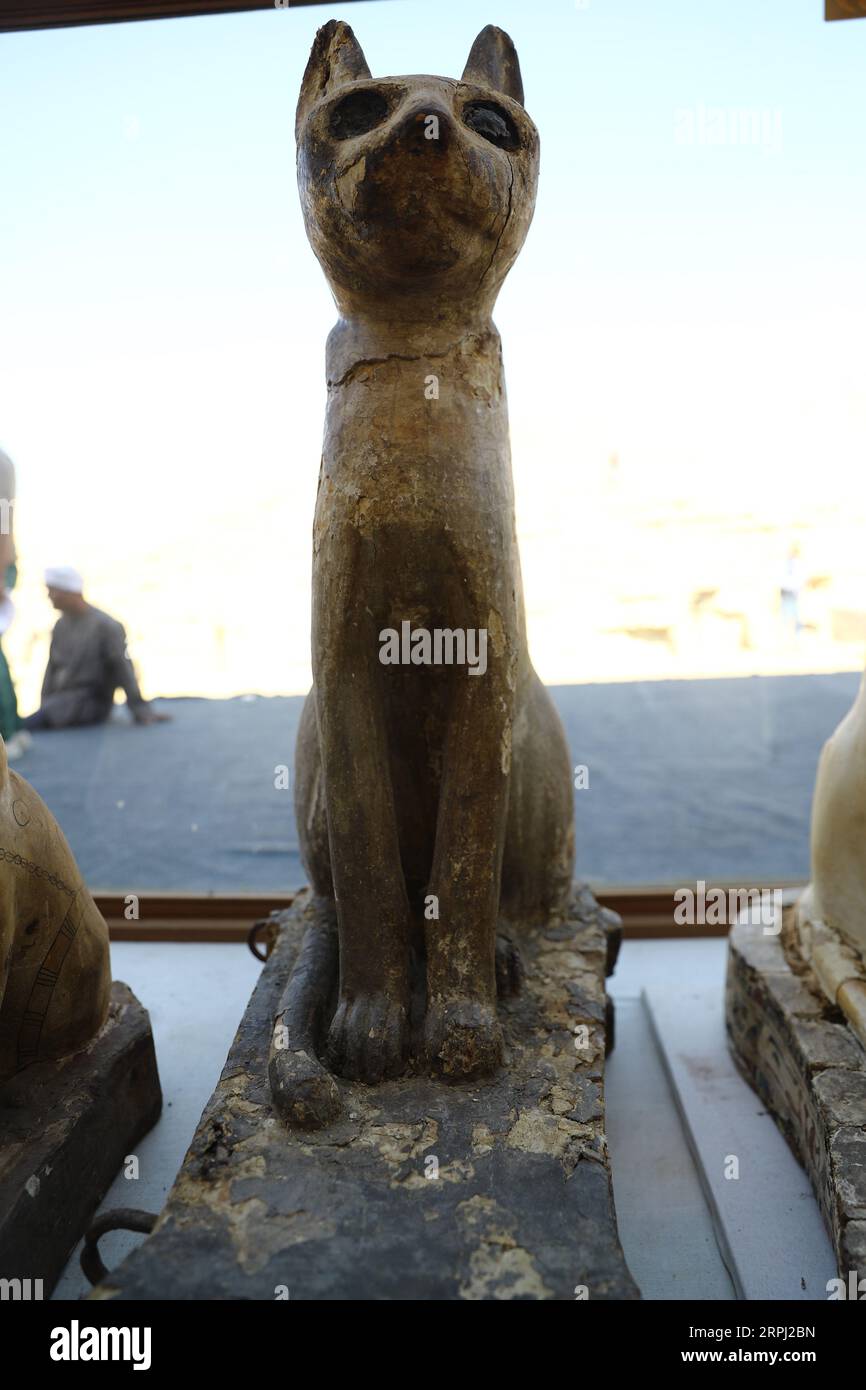 Mummies of animals hi-res stock photography and images - Alamy