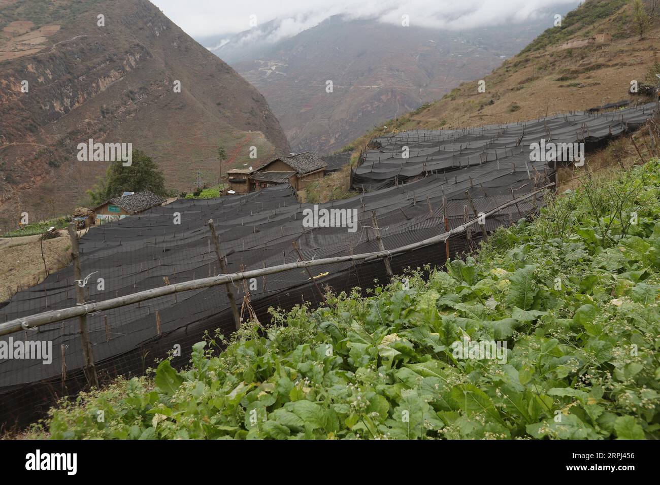 800 meter cliff on a steel ladder hi-res stock photography and images ...