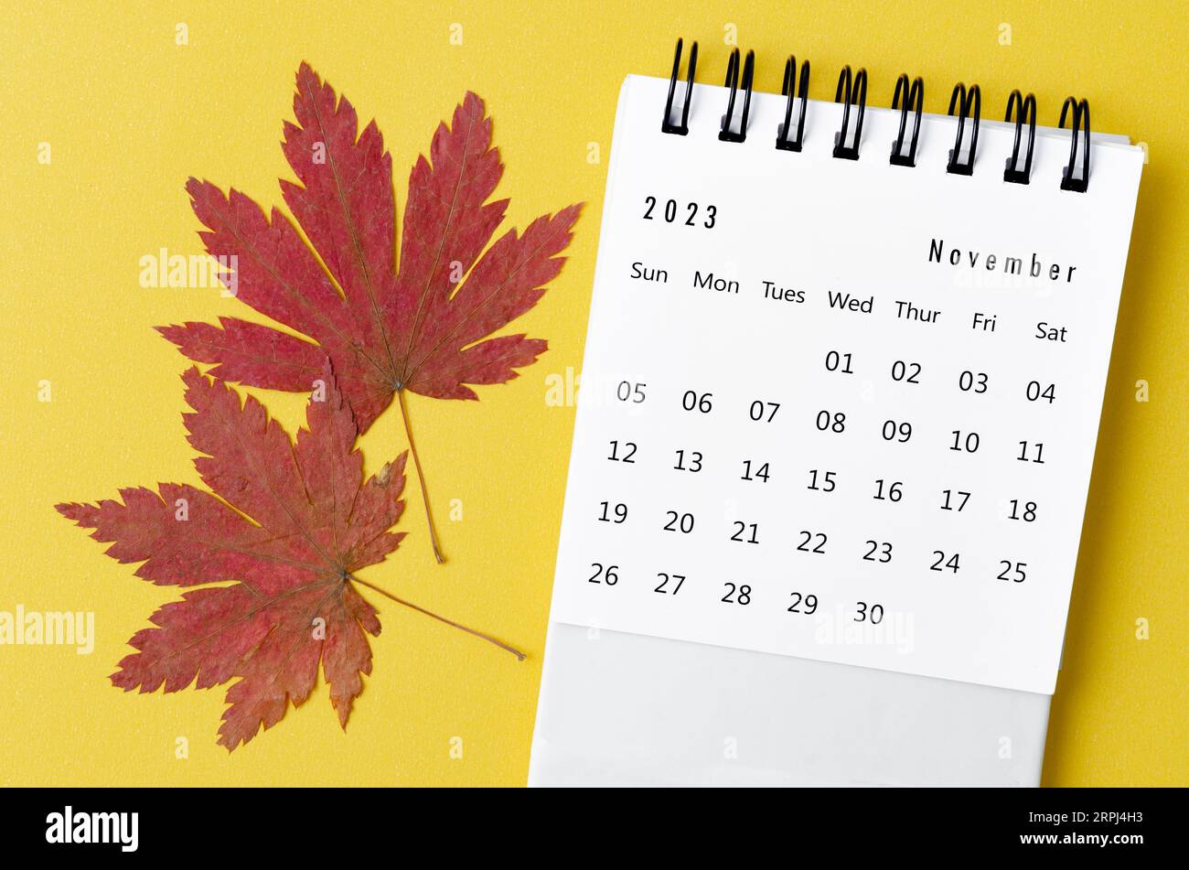 November 2023 desk calendar for 2023 year with autumn maple leaf on ...