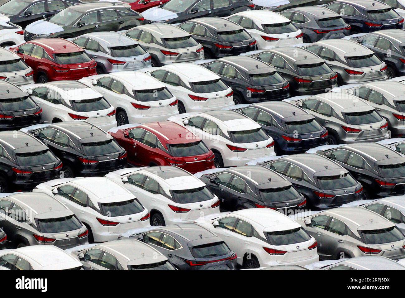 Lexus cars and SUVs wait in vehicle storage area stockpiled at ...