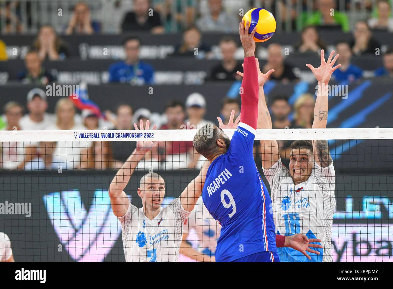 Alen Pajenk, Klemen Cebulj (Slovenia), Earvin Ngapeth (France ...