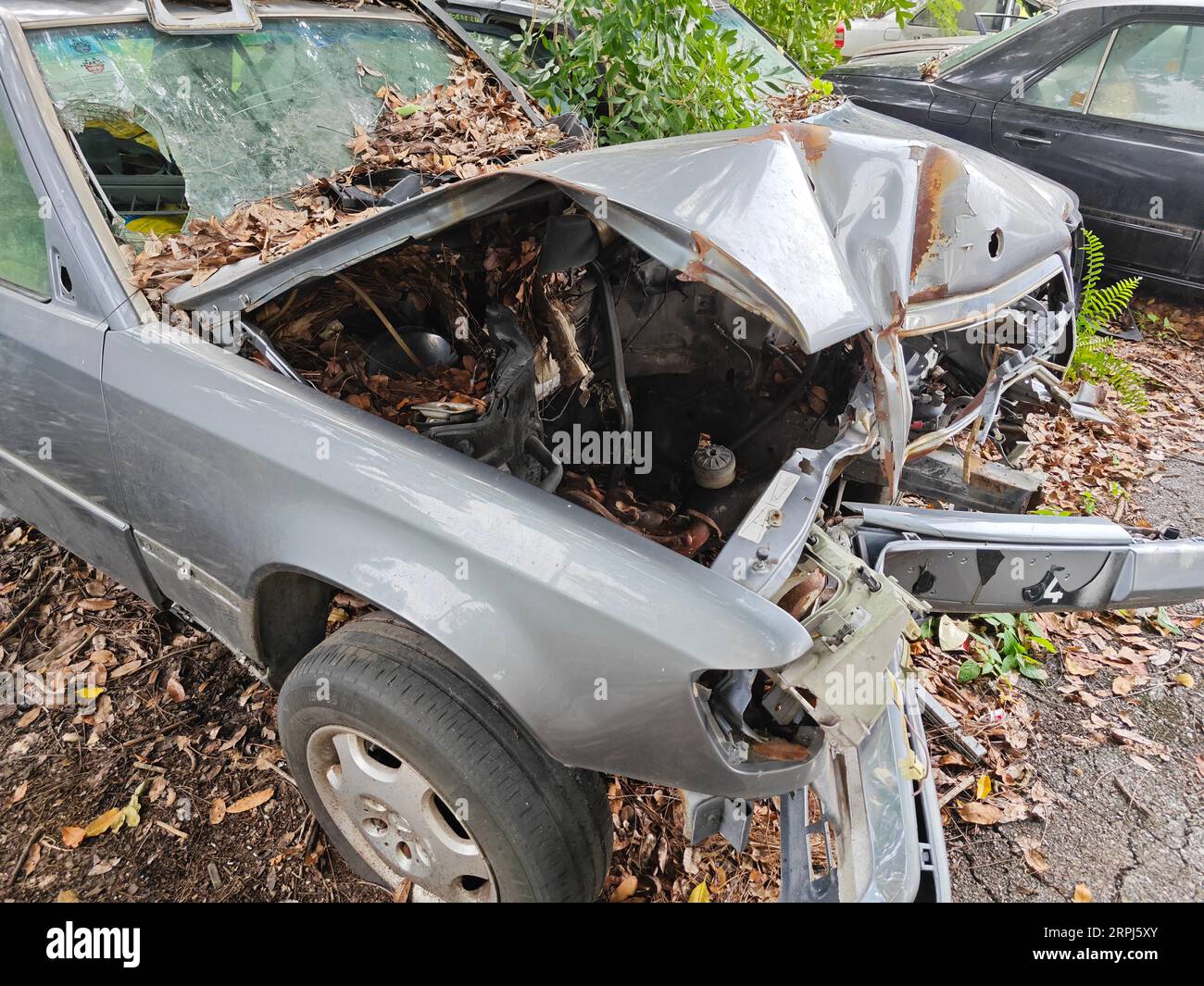 unrecognizable and wrecked cars beyond repair left at the isolated junk ...