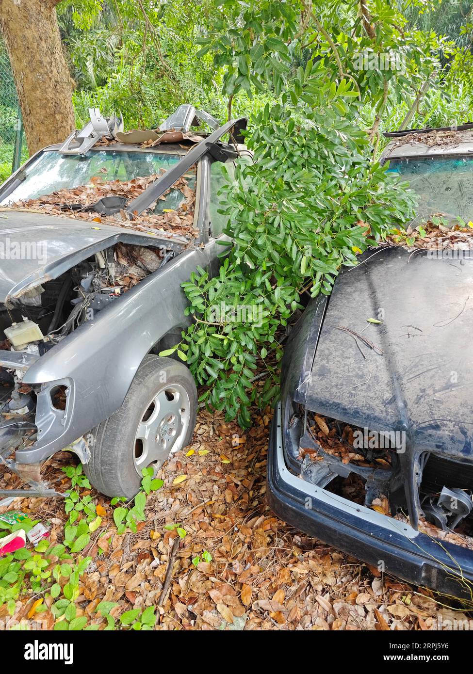 unrecognizable and wrecked cars beyond repair left at the isolated junk ...