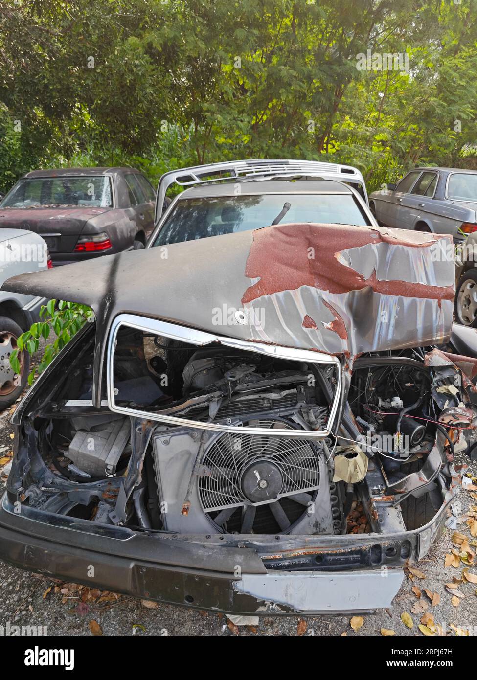 unrecognizable and wrecked cars beyond repair left at the isolated junk ...