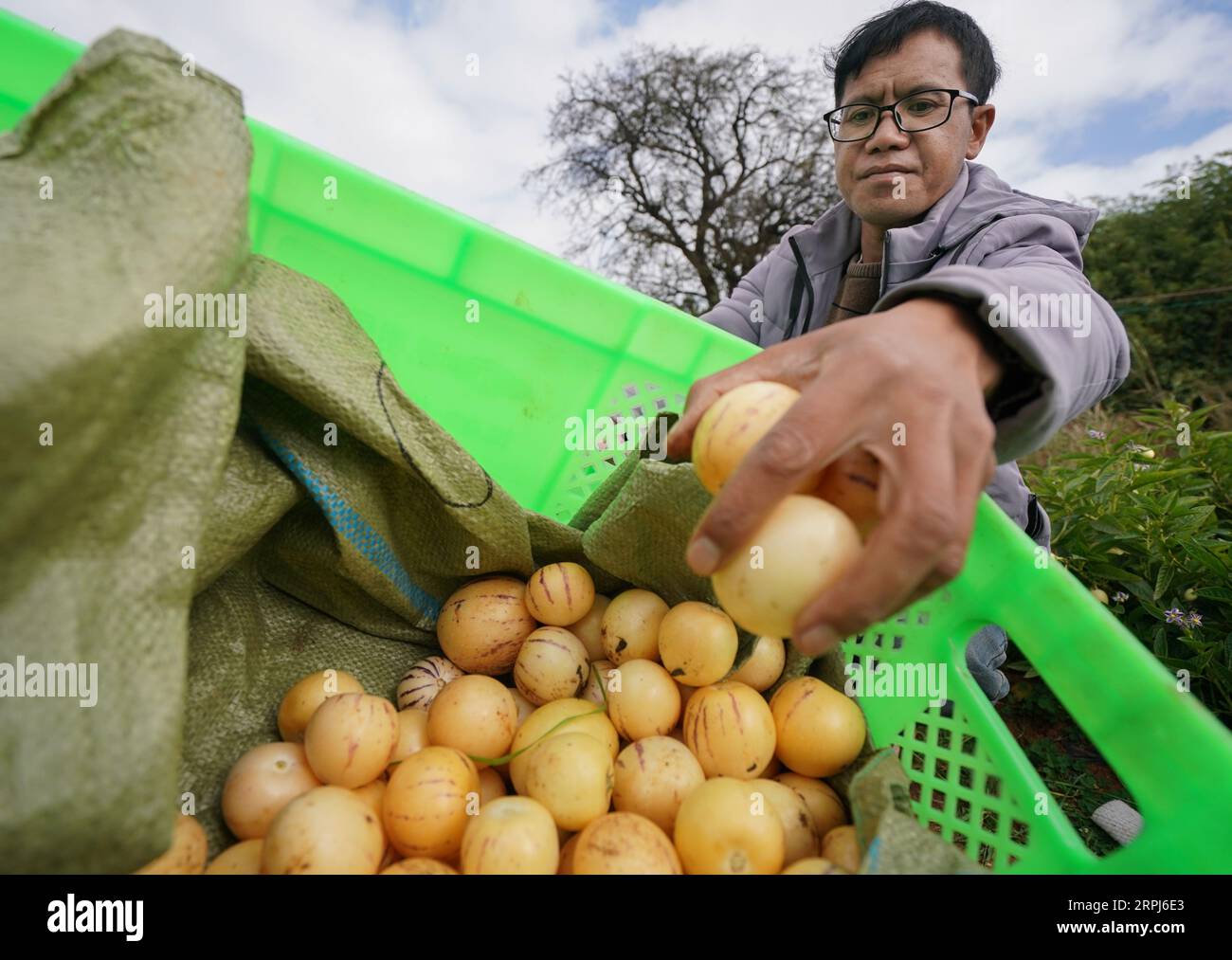 Wererolled hi-res stock photography and images - Alamy