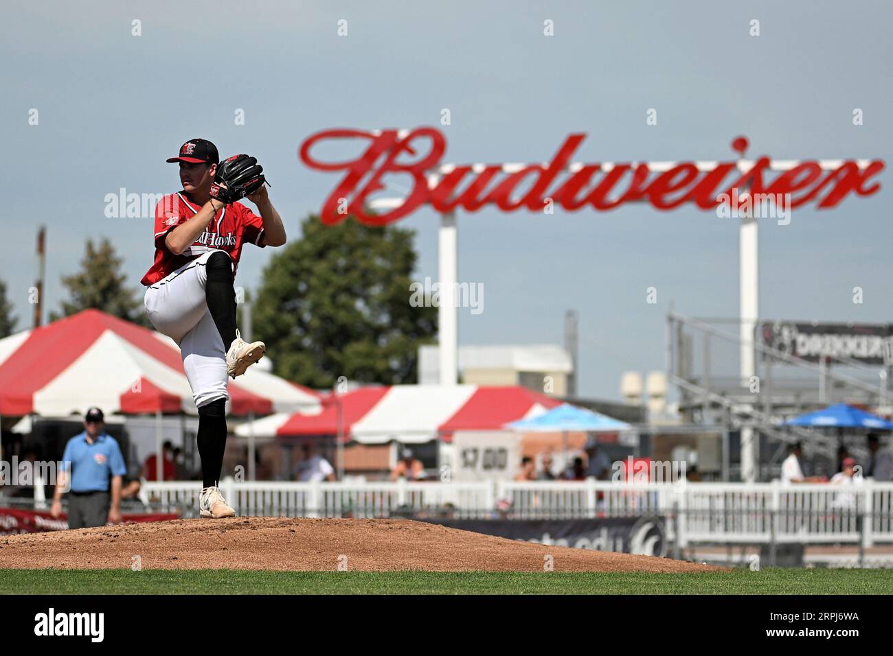 FM RedHawks pitcher Trey Cumbie (29) delivers a pitch during the FM ...