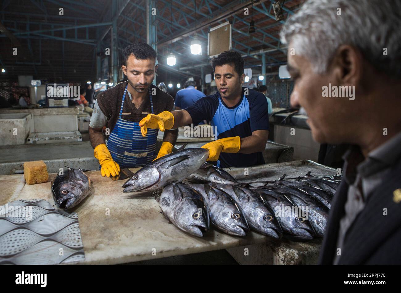 Fish market tehran iran hi-res stock photography and images - Alamy