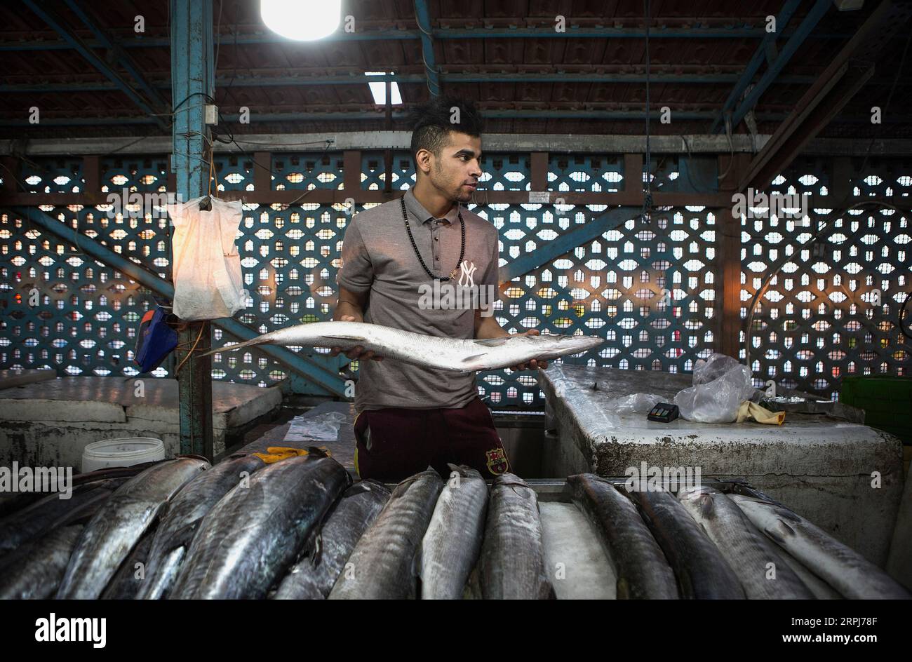 Fish market tehran iran hi-res stock photography and images - Alamy