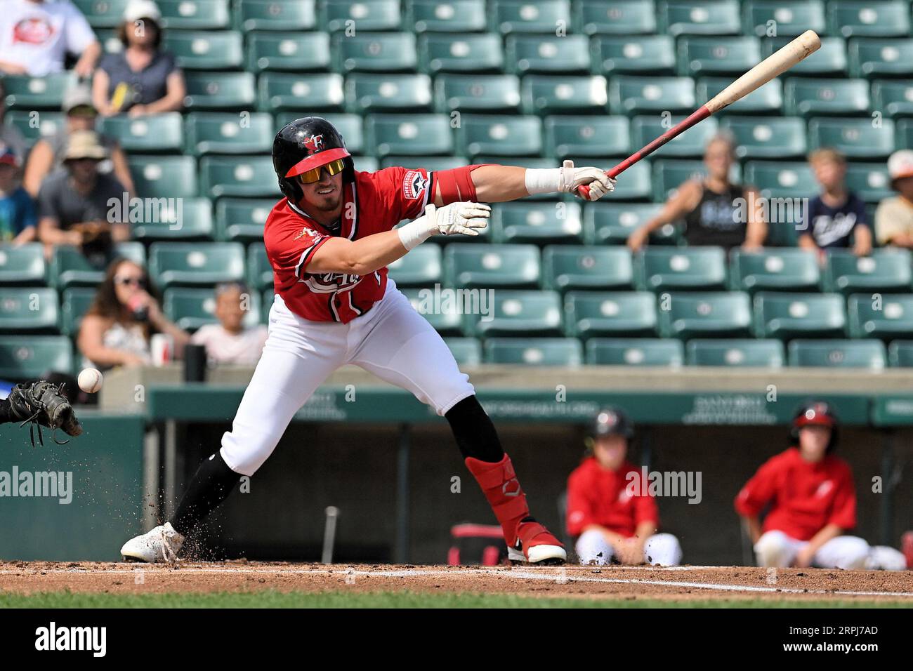 Alec newman hi-res stock photography and images - Alamy