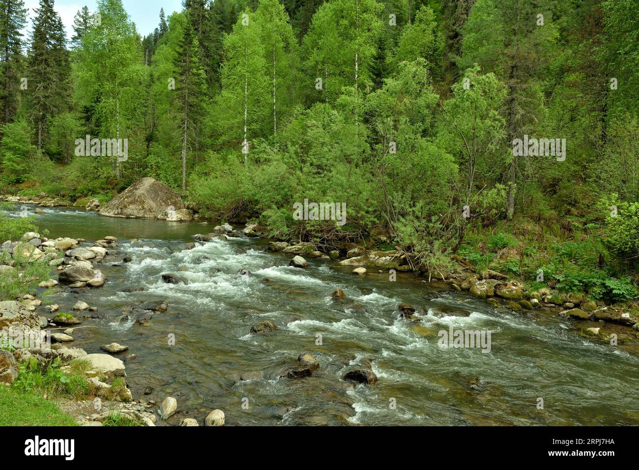 Breakers on the water from large stones in the bed of a beautiful river ...