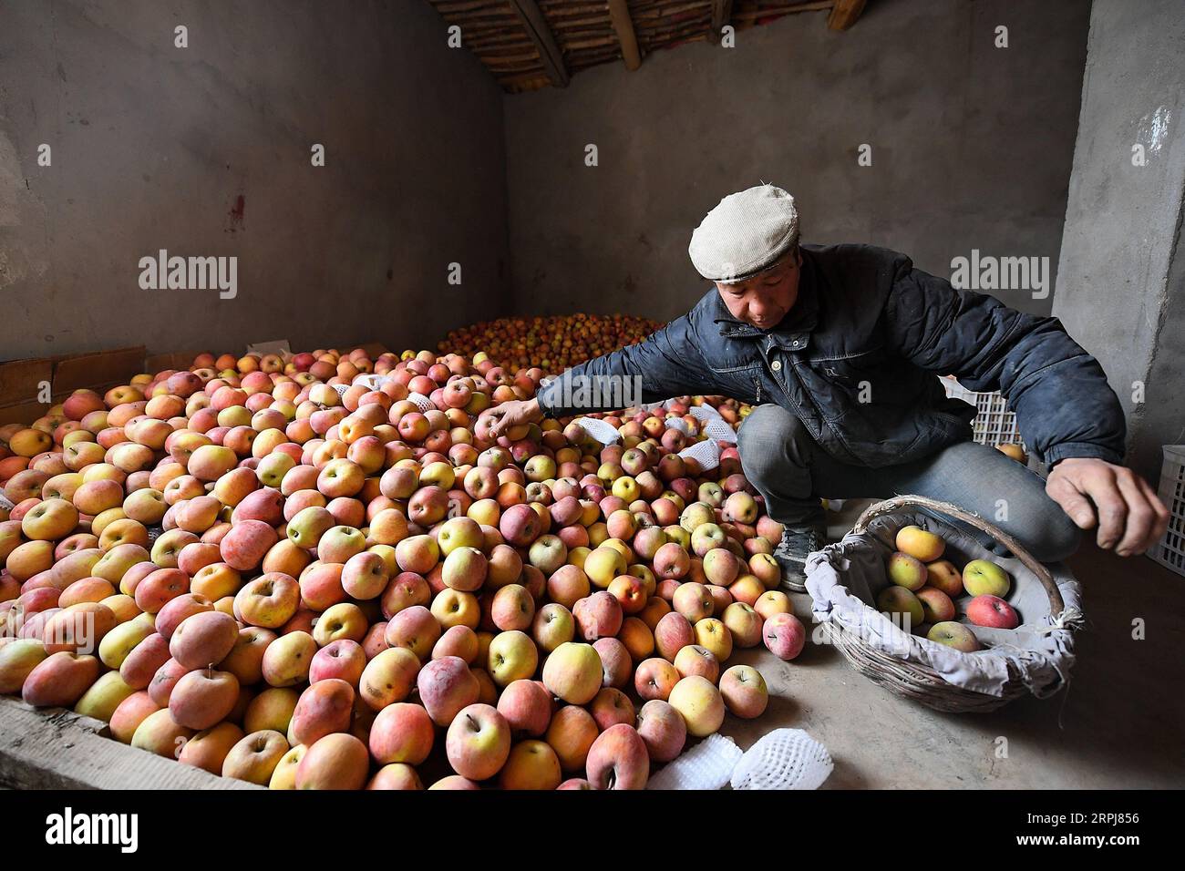 Apple production hi-res stock photography and images - Alamy