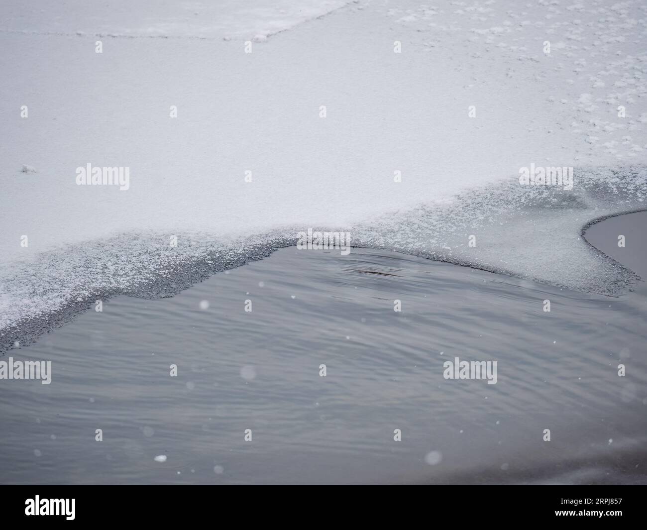 The surface of the water is partially covered with ice. Dangerous Thin ...