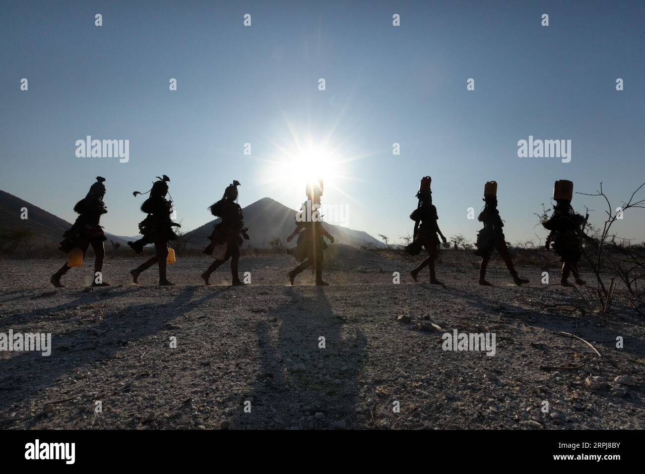 Himba women all walk in a single line while returning from collecting ...