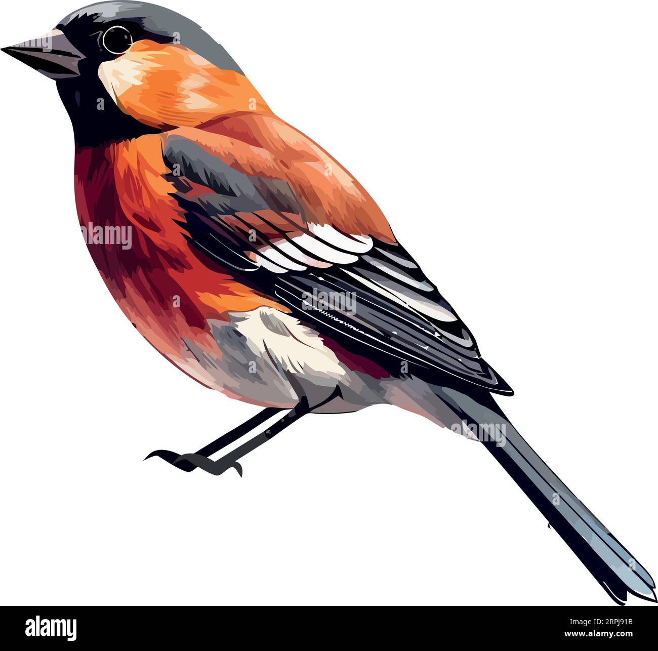 cute little bird illustration over white Stock Vector Image & Art - Alamy