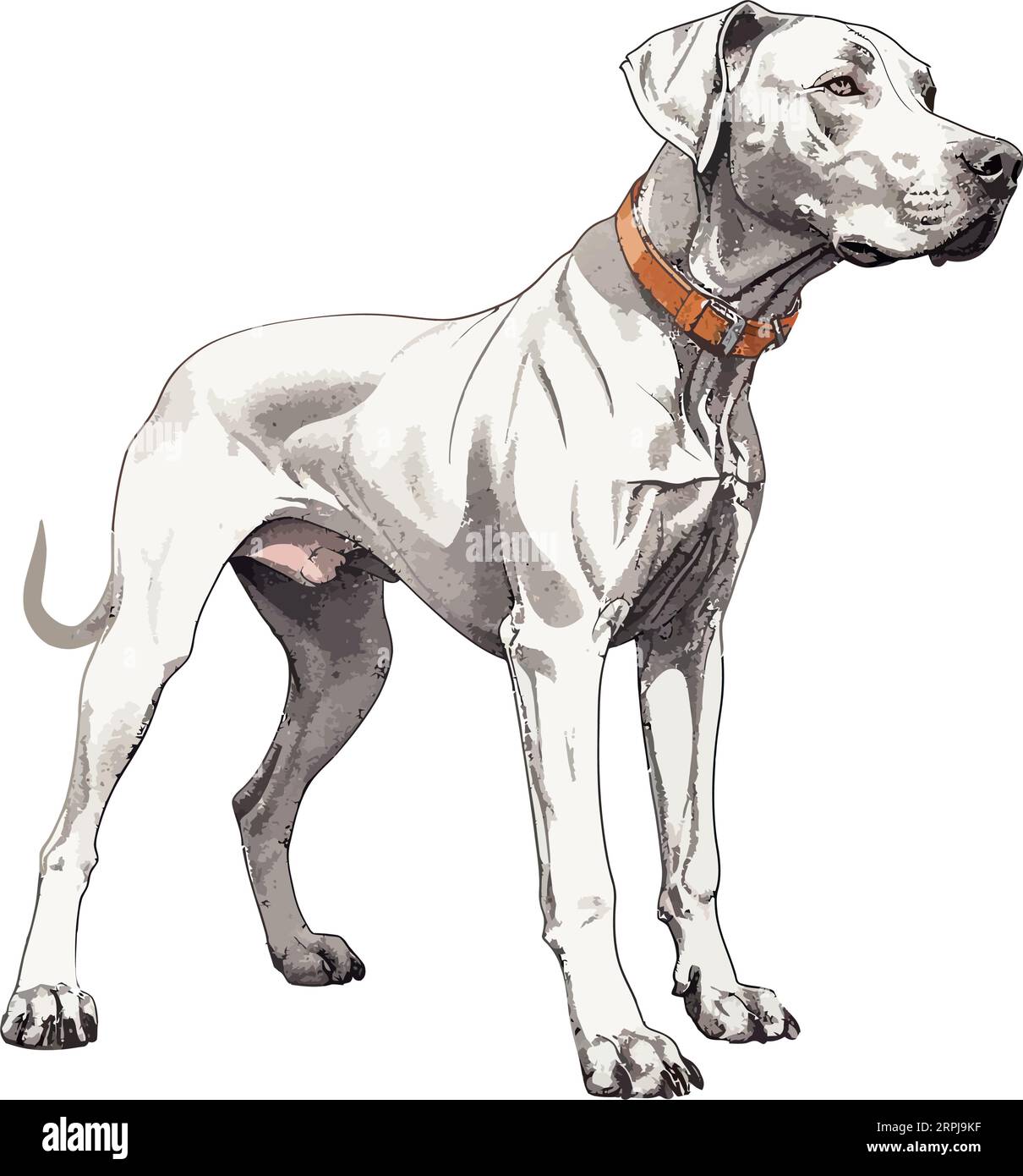 Portrait mixed breed cute Stock Vector Images - Alamy