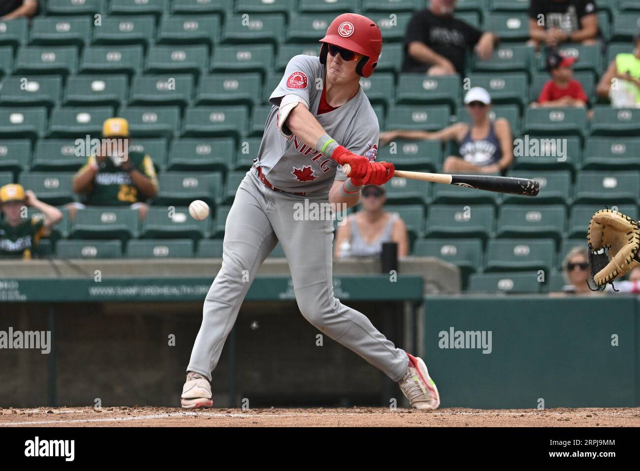 Goldeyes hi-res stock photography and images - Alamy