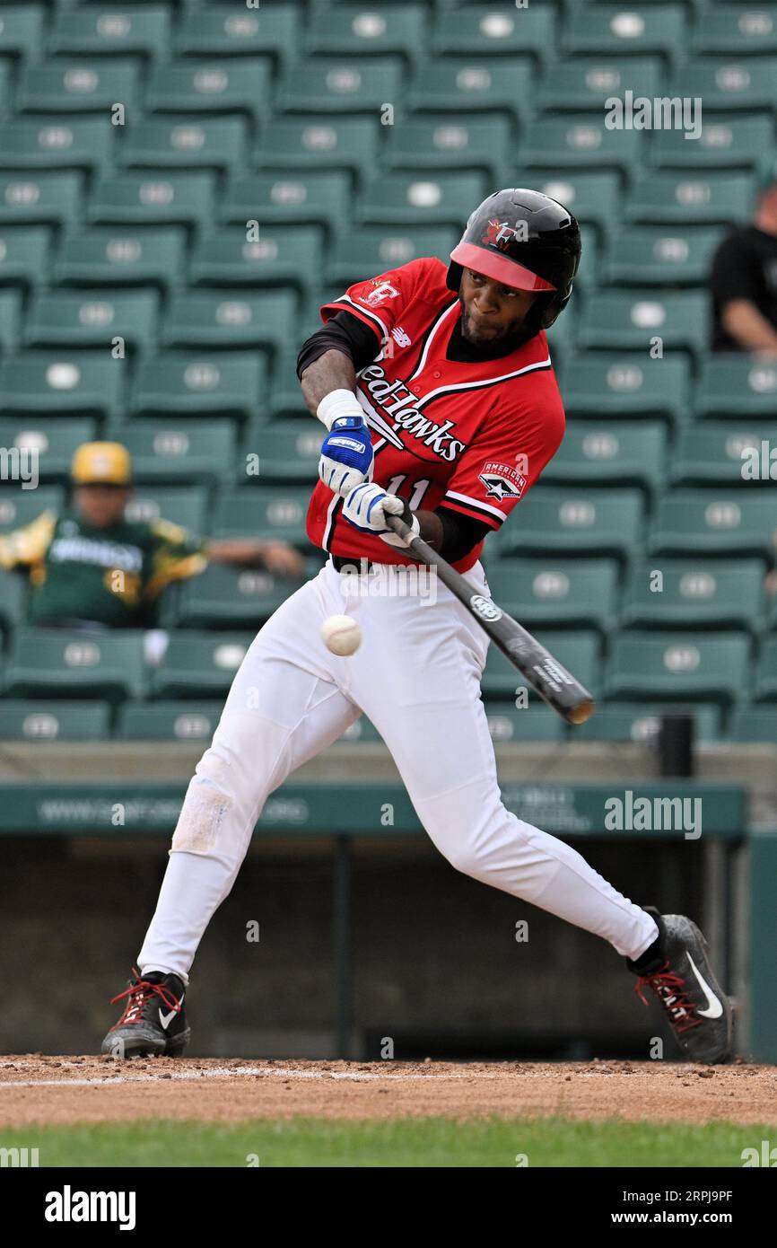 Goldeyes hi-res stock photography and images - Alamy