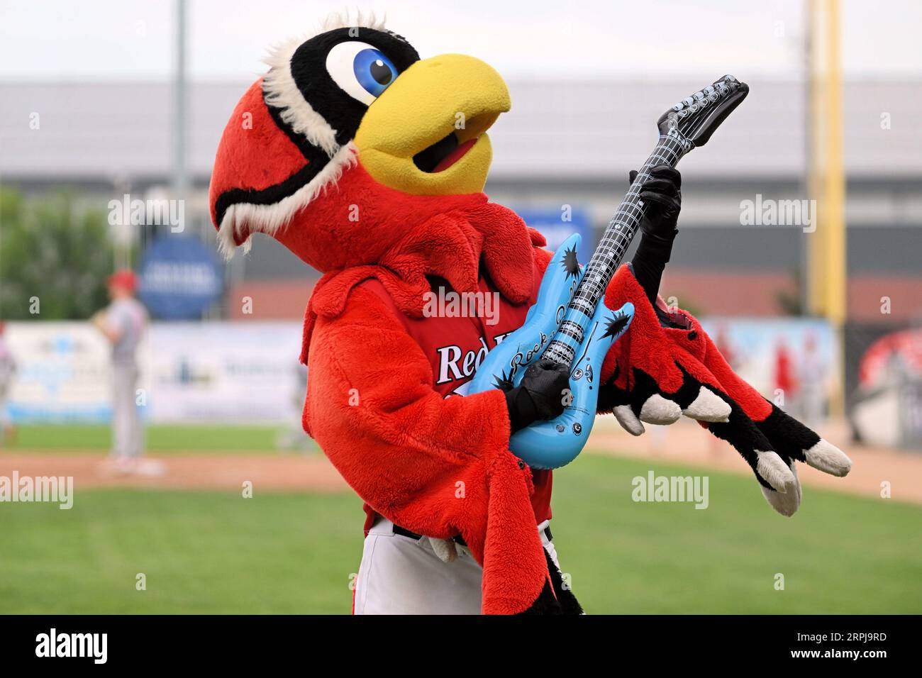 Mascot 4 jpg hi-res stock photography and images - Alamy