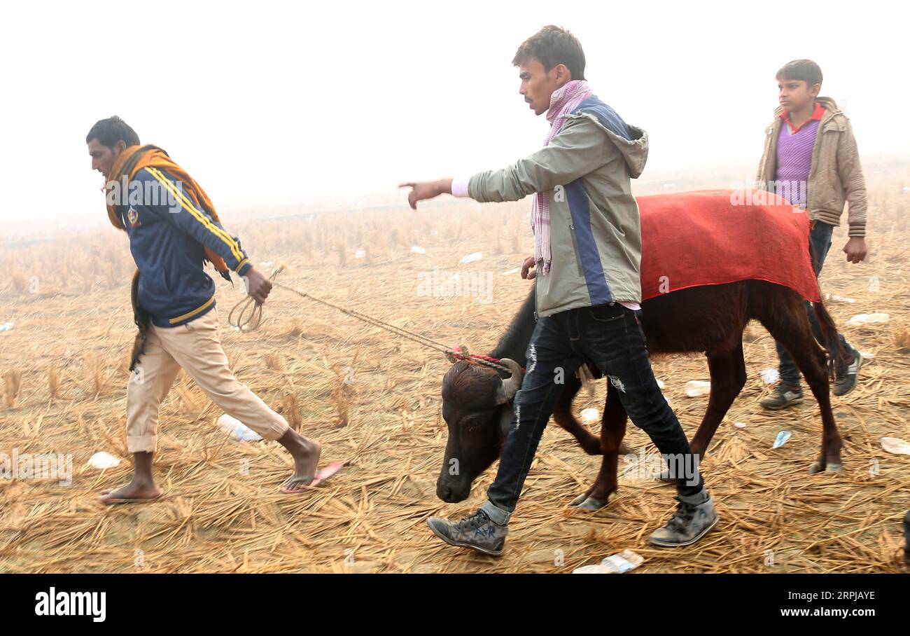 Nepal bara gadhimai hi-res stock photography and images - Alamy