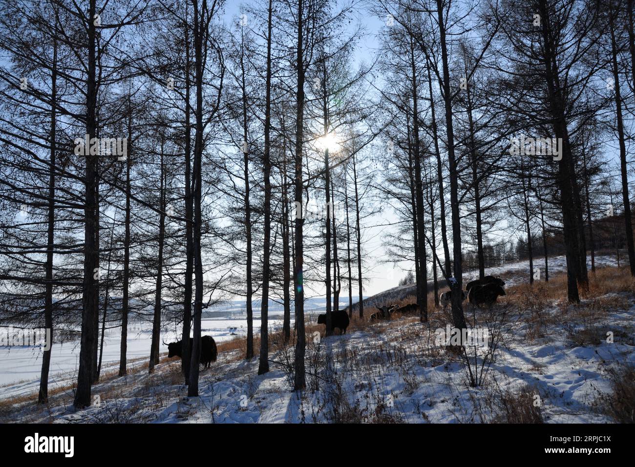 Yunlong mountain hi-res stock photography and images - Alamy