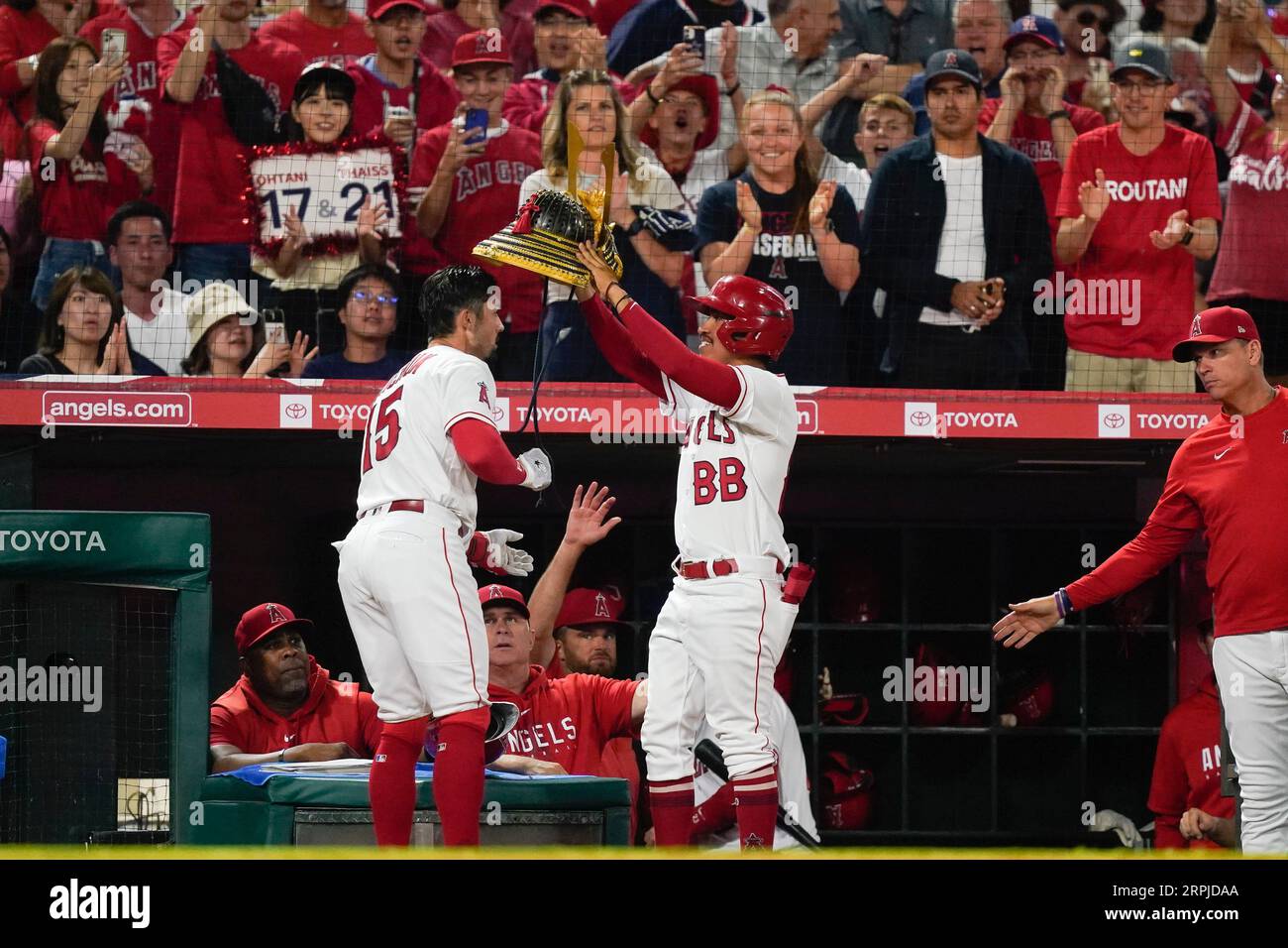 Los Angeles Angels' Randal Grichuk, front left, is given a Japanese ...