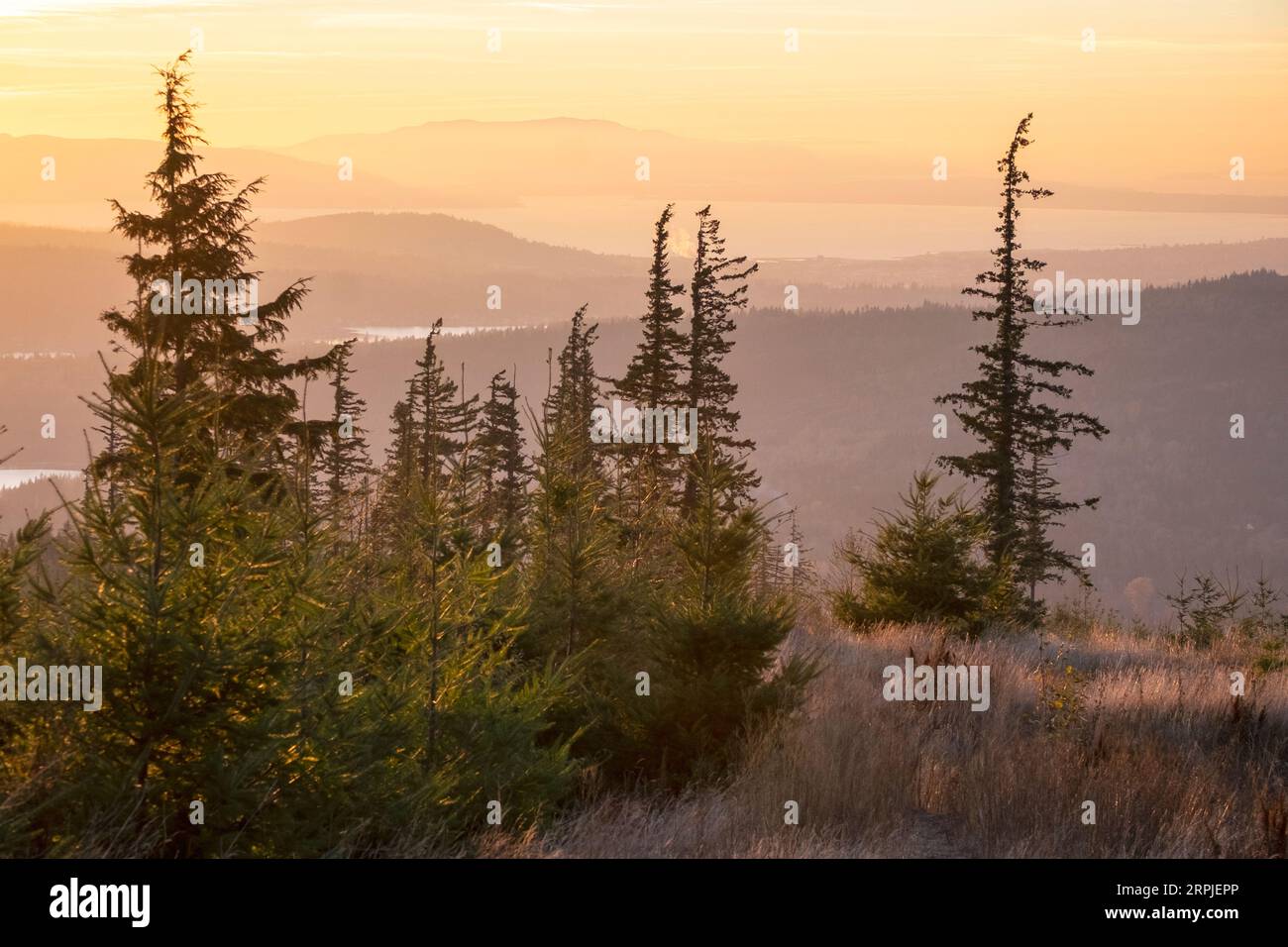 Late fall weather on the Y Road Trail over Lake Whatcom, Bellingham ...