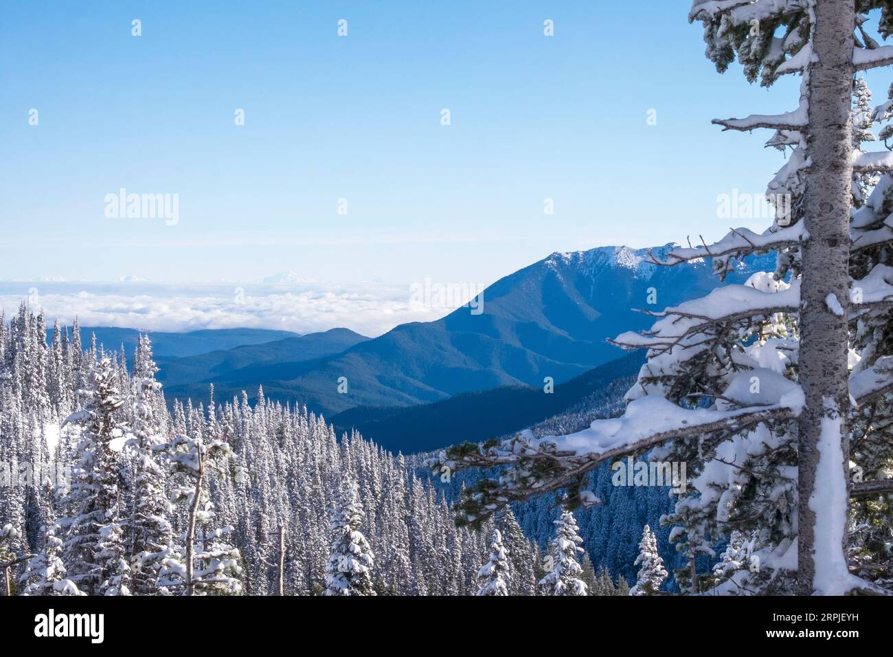 Visit northwest hi-res stock photography and images - Alamy