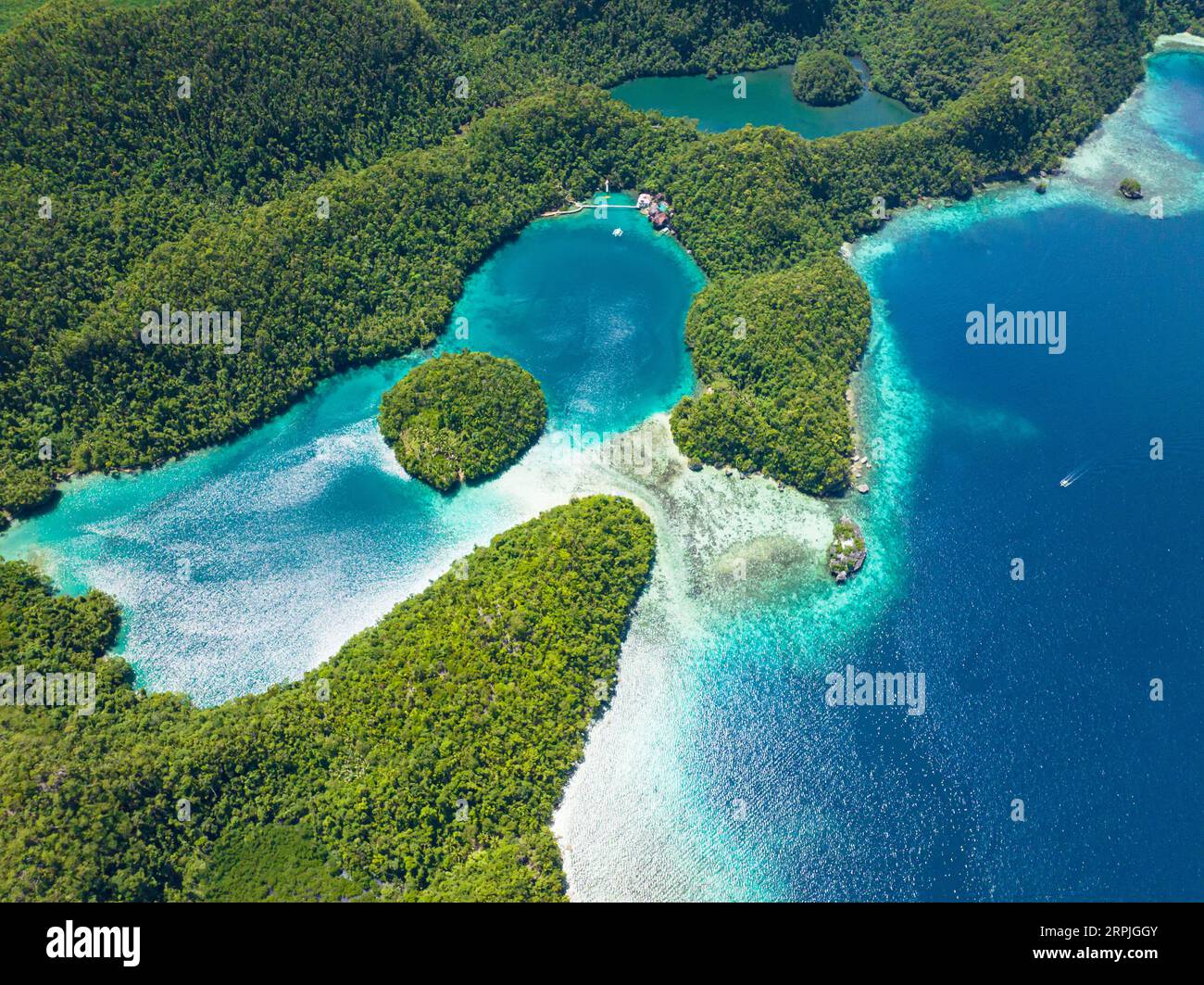 Rainforest and Lagoons in Sohoton Cove from top. Turquoise lagoon ...